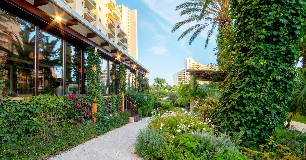 Regulamento Interno | RR Club Amarilis